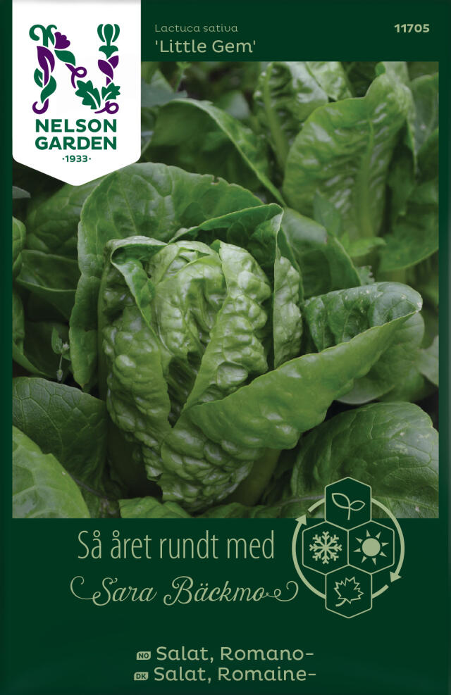 Dyrkning af salat l Dyrkningsguide