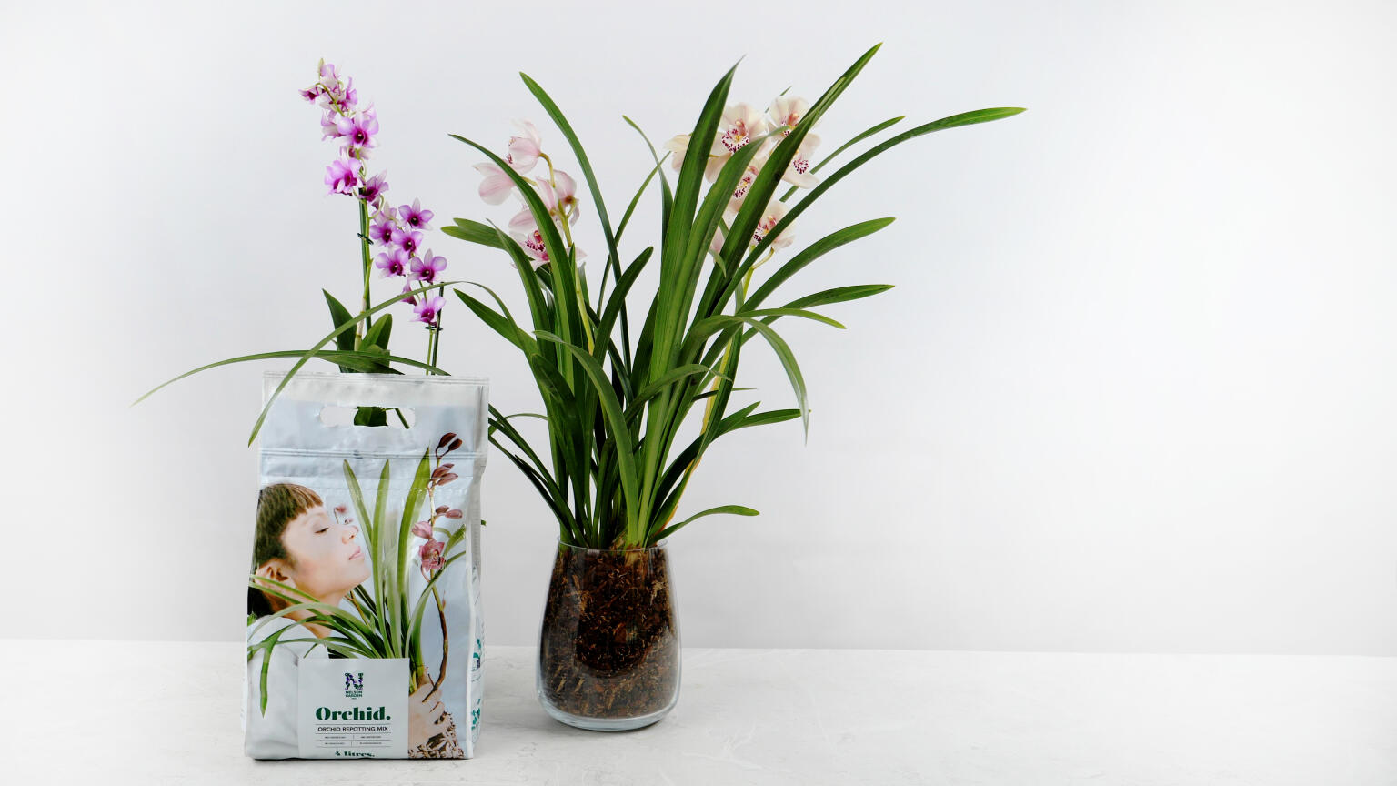 Orkidéjord – Specialjord til omplantning af orkidéer | Nelson Garden